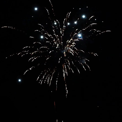 DEMON STINGER - Samurai Fireworks