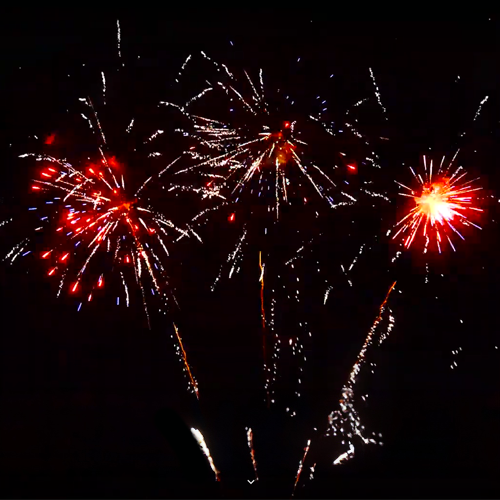 FANCY FREEDOM - Samurai Fireworks