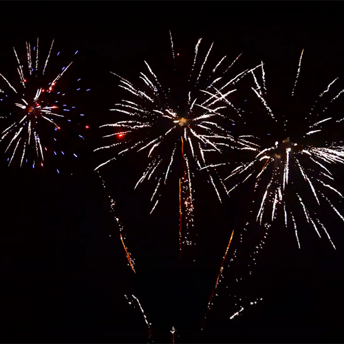 FANCY FREEDOM - Samurai Fireworks