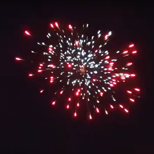 KING DRAGON - Samurai Fireworks