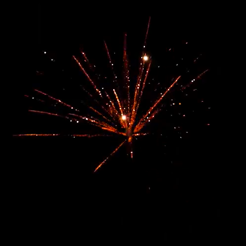 NISHIKI GALAXY - Samurai Fireworks