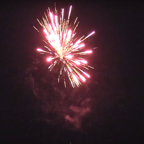 REEFER MADNESS - Samurai Fireworks