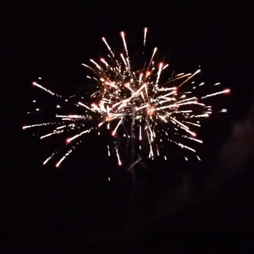 SHOTGUN WEDDING - Samurai Fireworks