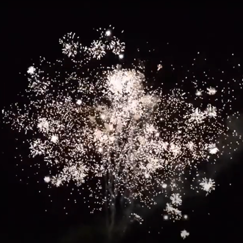 SHOTGUN WEDDING - Samurai Fireworks