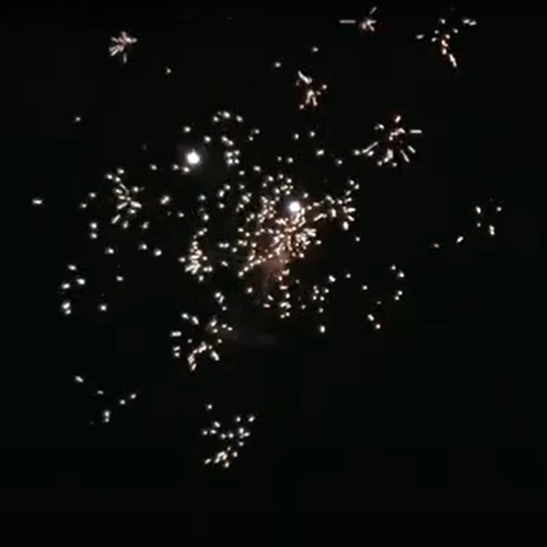 SUSPENDED ANIMATION - Samurai Fireworks